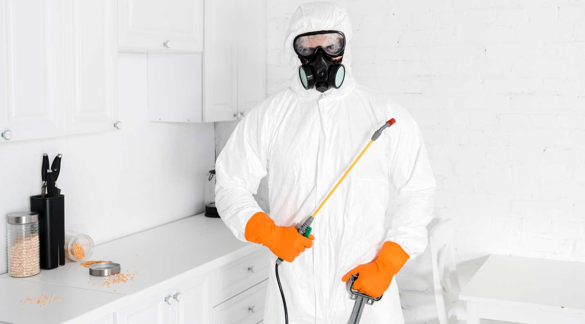 Elite Pest & wildlife | Pest Control and Wildlife Removal Services